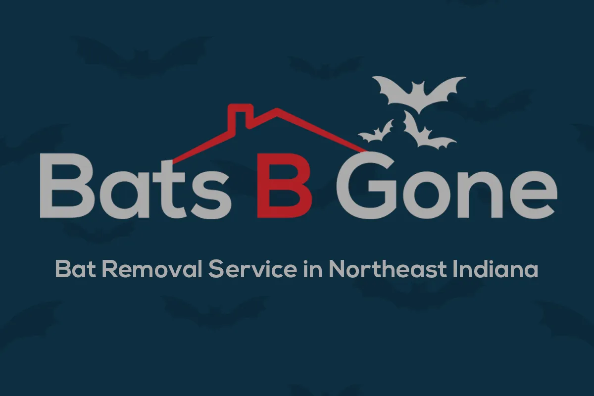 Bats B Gone Bat Removal Services in Fort Wayne, Indiana